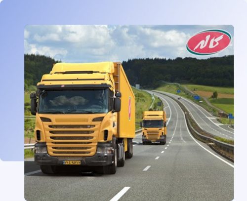 Our Business - Solico Group