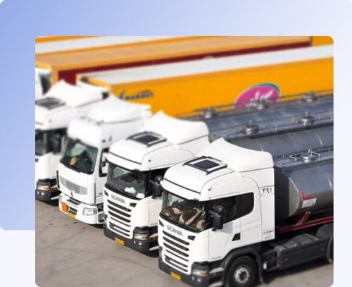 Our Business - Solico Group