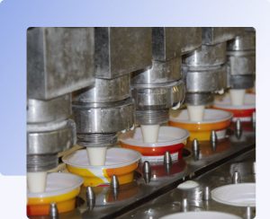 Our Business - Solico Group