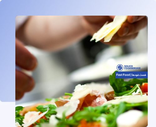 Our Business - Solico Group