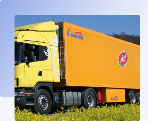 Our Business - Solico Group